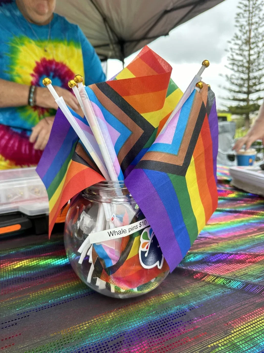 Past Festivals | Albany Pride Festival