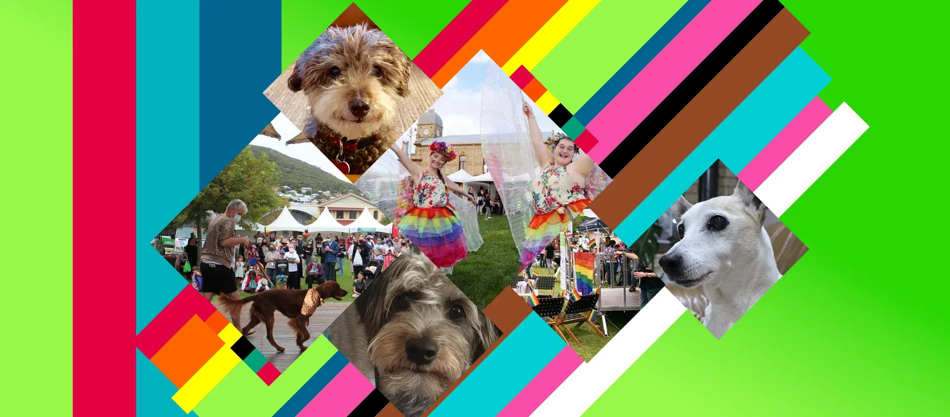 Fairday and Dog Show ’25 | Albany Pride Festival